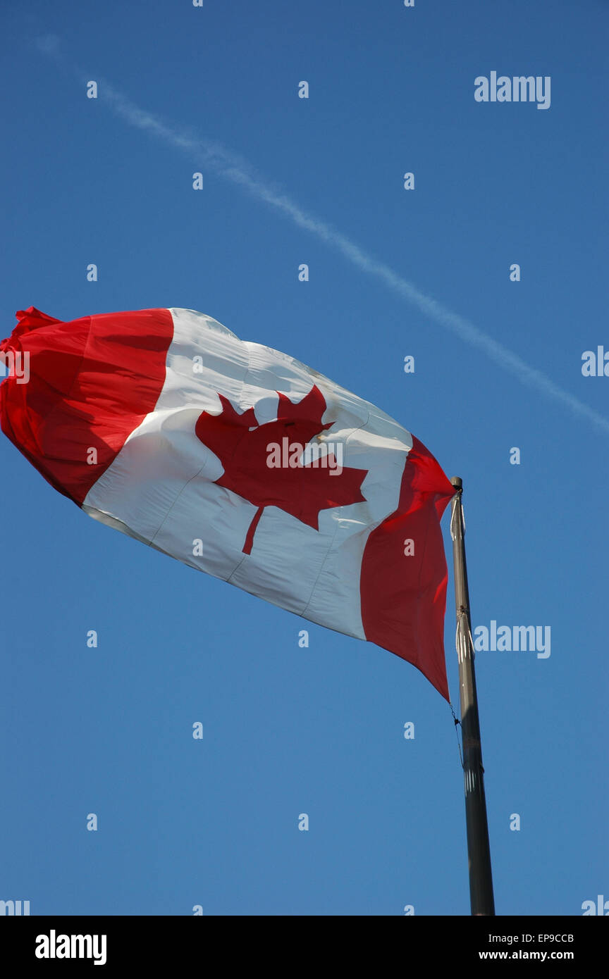 Toronto, Canada: the Canadian flag Stock Photo - Alamy