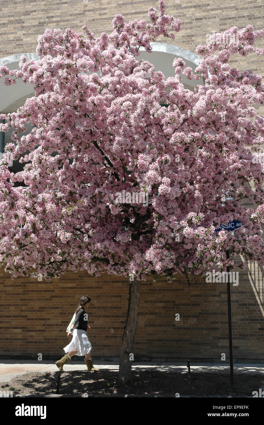 University toronto canada hi-res stock photography and images - Alamy