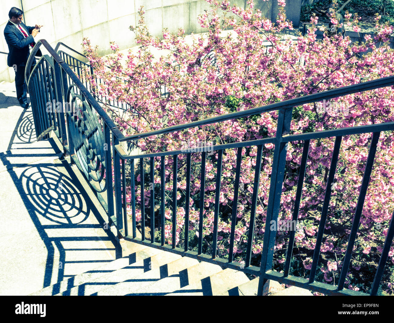 Sharansky Steps, Ralph Bunche Park From Tudor City, NYC Stock Photo - Alamy