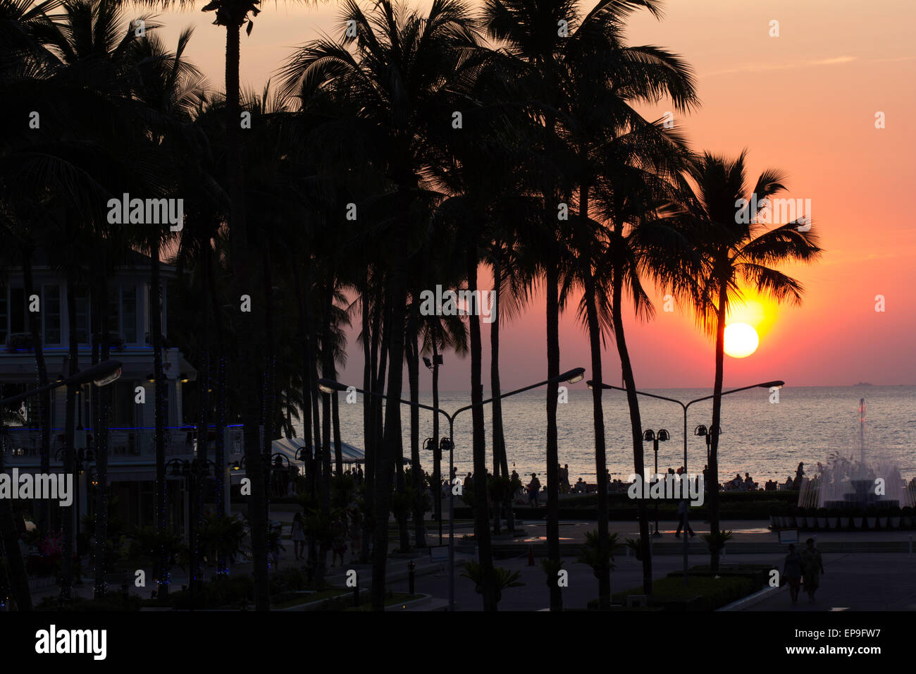 Beautiful tropical beach sunset palm hi-res stock photography and ...