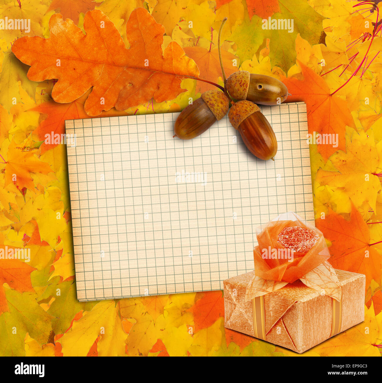 Old grunge paper with autumn oak leaves and Gift box on the wooden ...