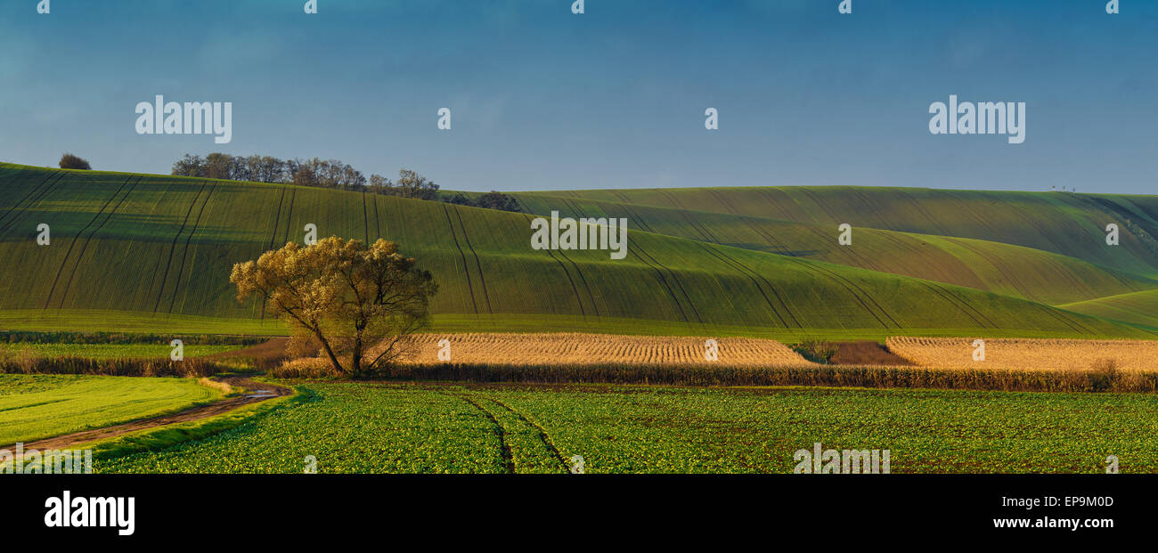 Panoramic view of agricultural fields on hills of Moravia Stock Photo ...