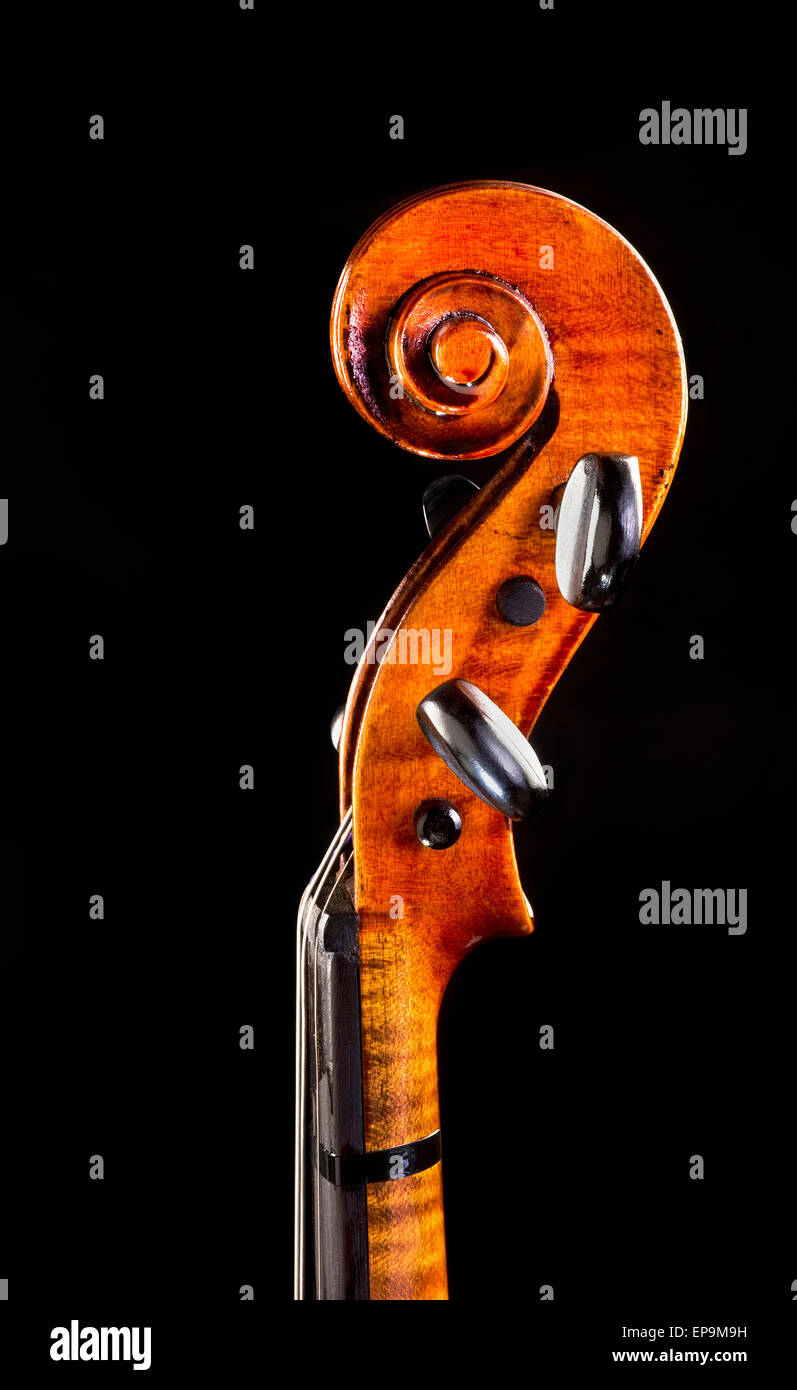 Antique maple violin neck and scroll Stock Photo - Alamy