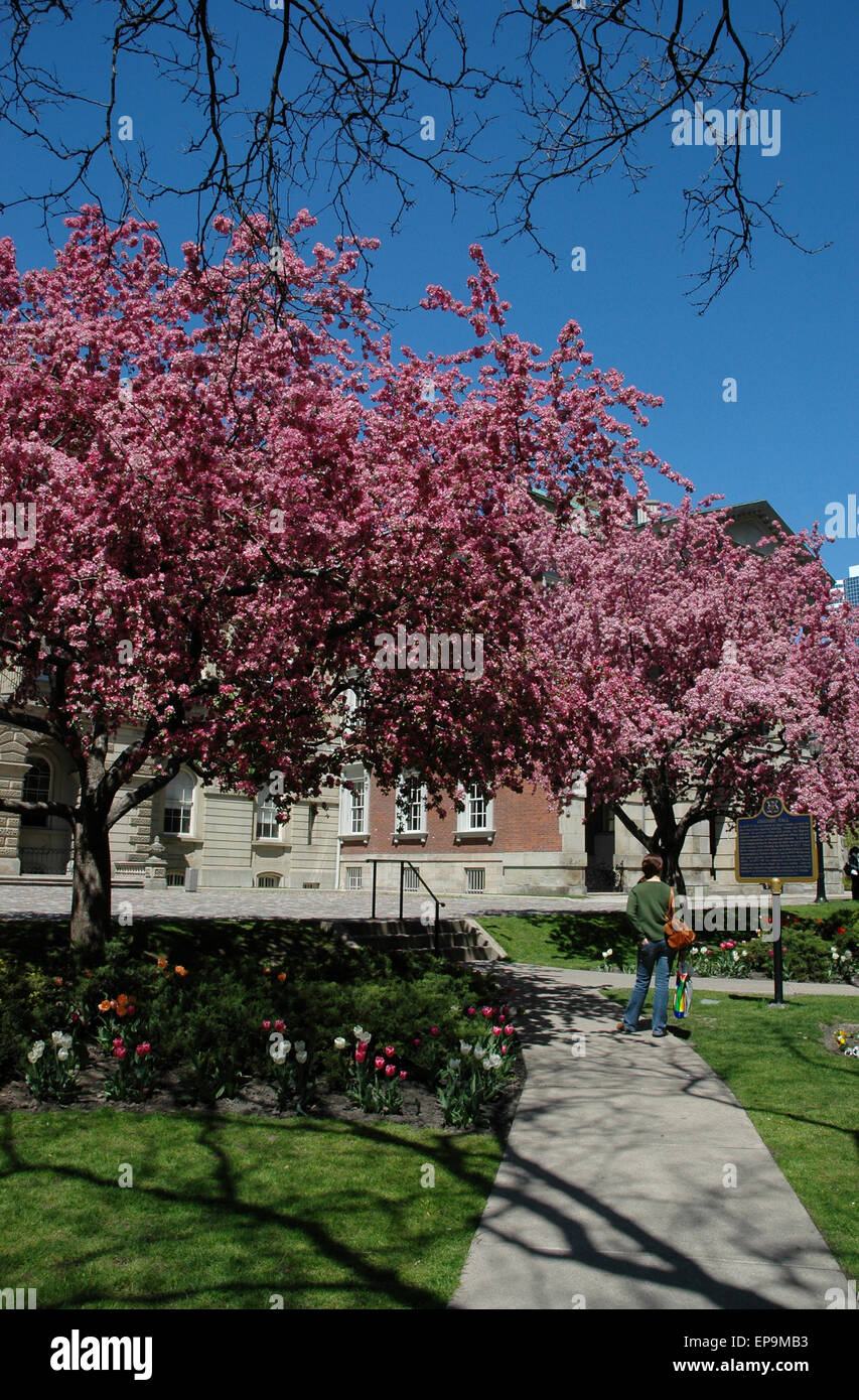 Toronto, Canada: Osgoode Hall, a landmark building in downtown Toronto ...