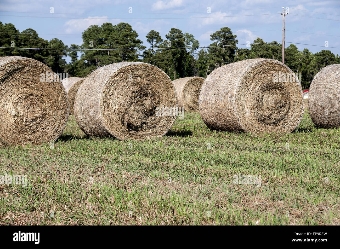 Food bales hi-res stock photography and images - Alamy