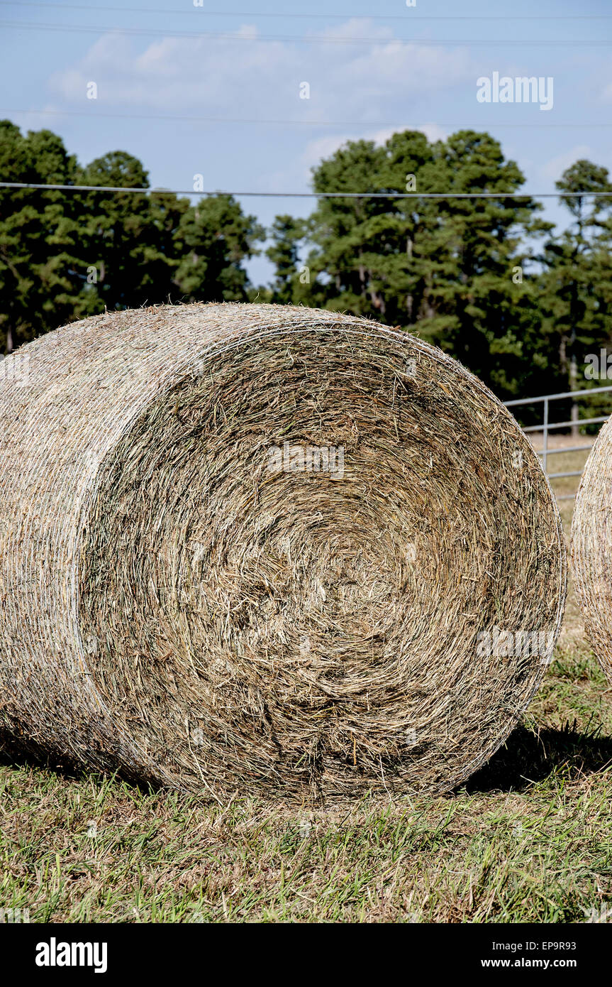 Bale of straw hay hi-res stock photography and images - Alamy