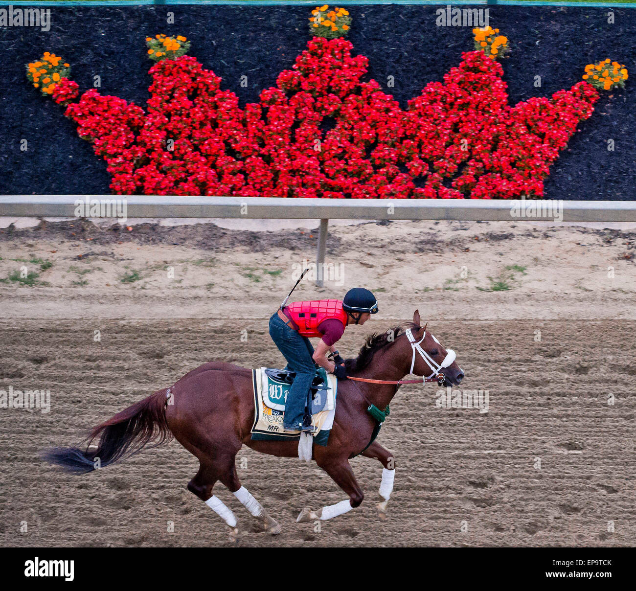 Pimlico horse race hi-res stock photography and images - Alamy