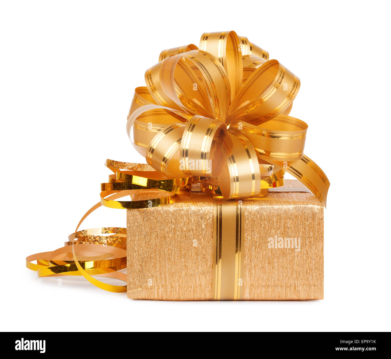 Beautifully Wrapped Gift Box