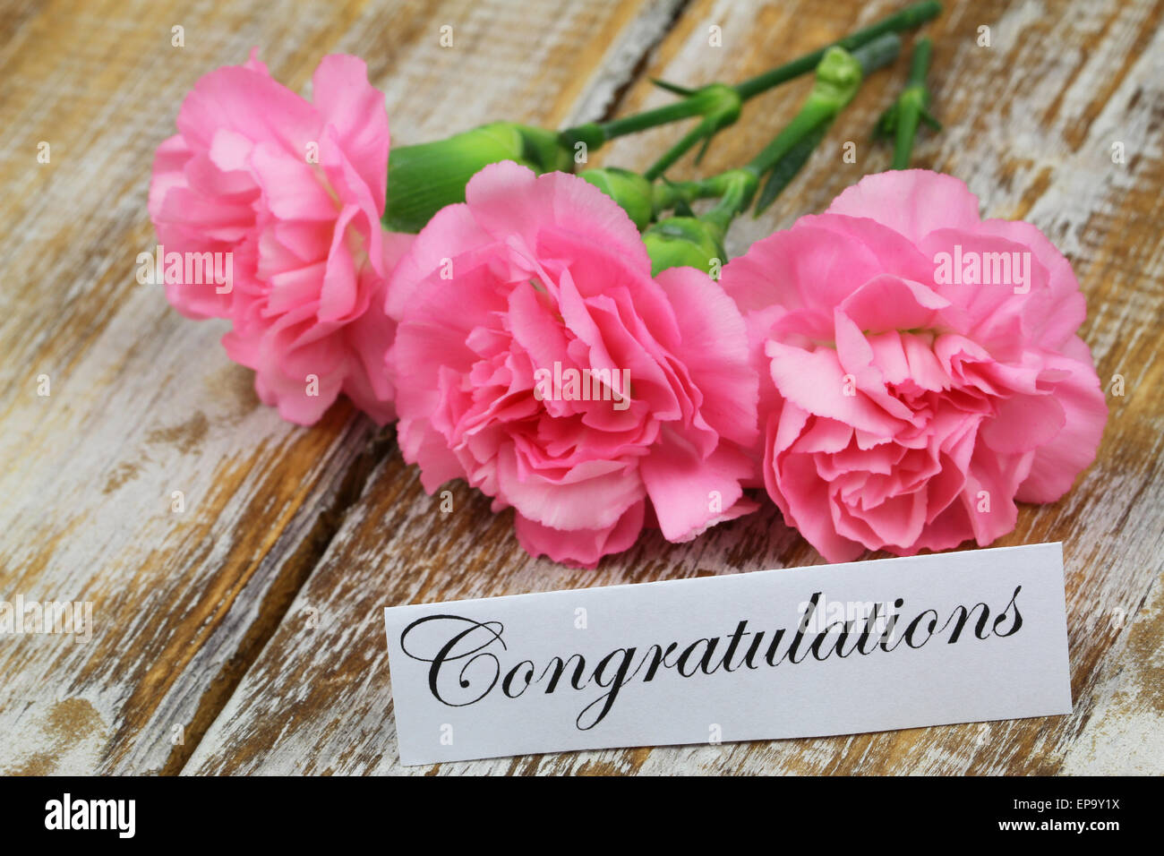 Congratulations card with three pink carnations on rustic wood Stock ...
