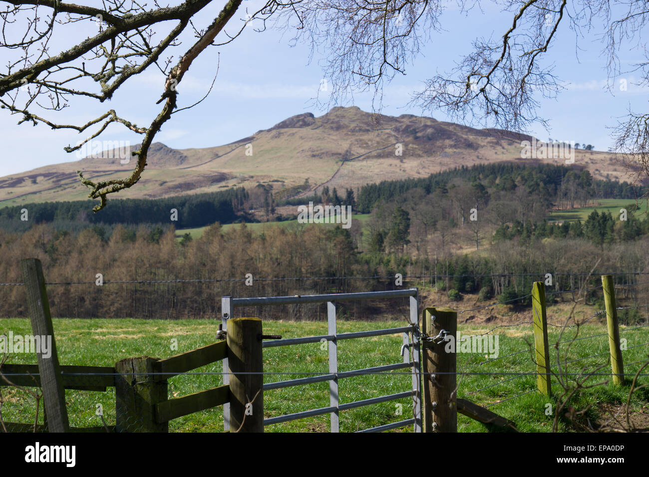 Rubers Law from Fulton, Scottish Borders Stock Photo - Alamy