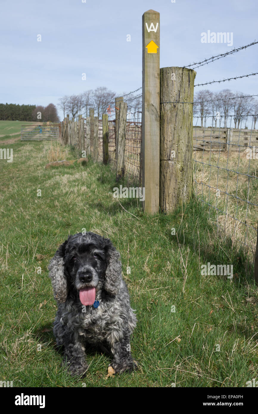 Scottish borders jedburgh sign hi-res stock photography and images - Alamy