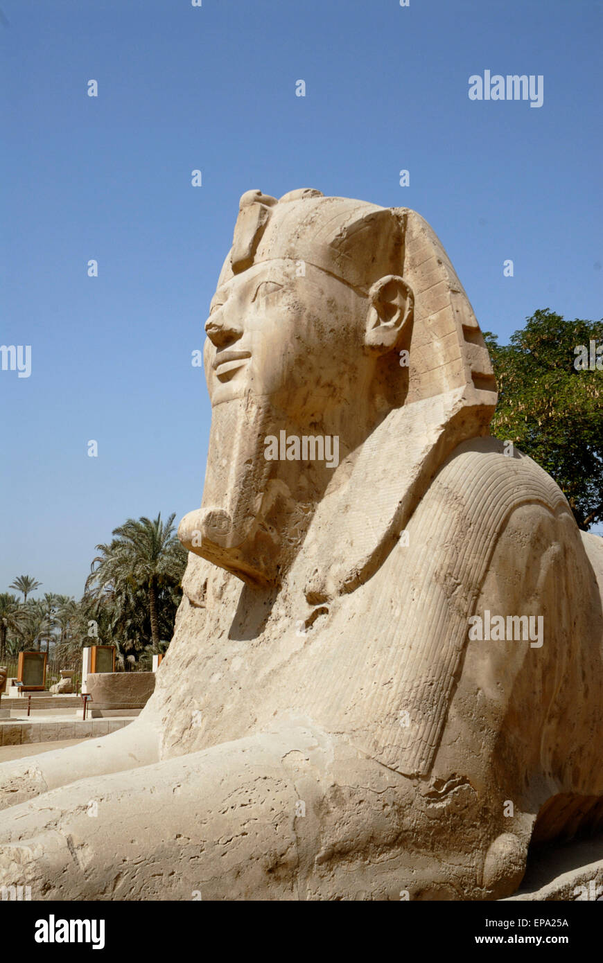 Egypt alabaster statue hi-res stock photography and images - Alamy