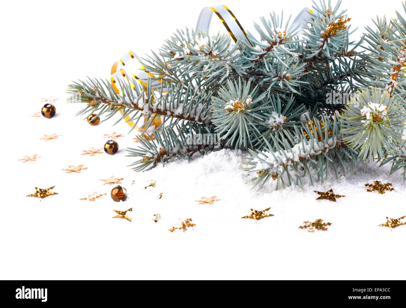 Christmas fir branch with gold streamers and stars on a white ...