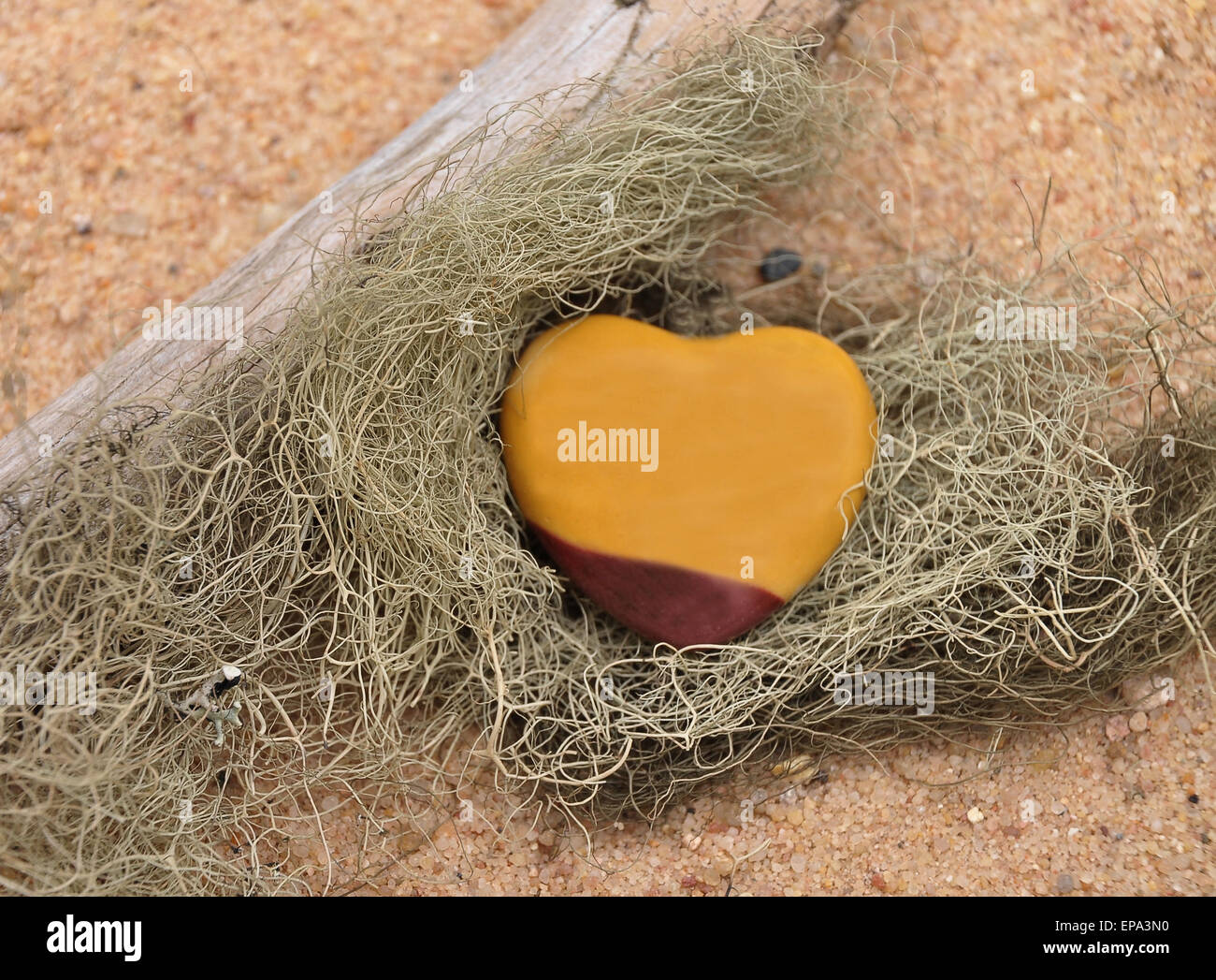 Jasper stone on white beach hi-res stock photography and images - Alamy