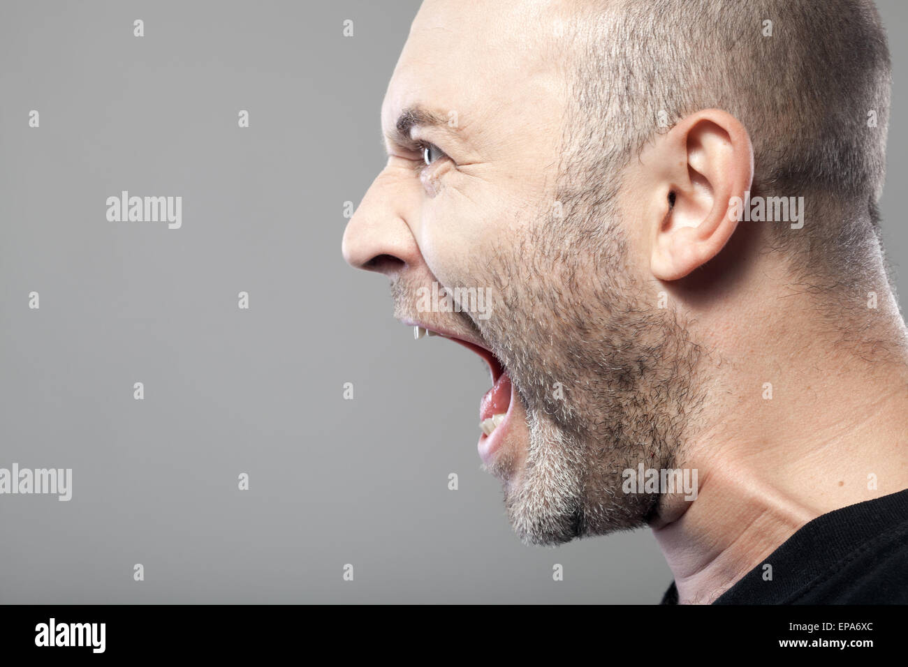 angry man screaming isolated on gray background Stock Photo - Alamy