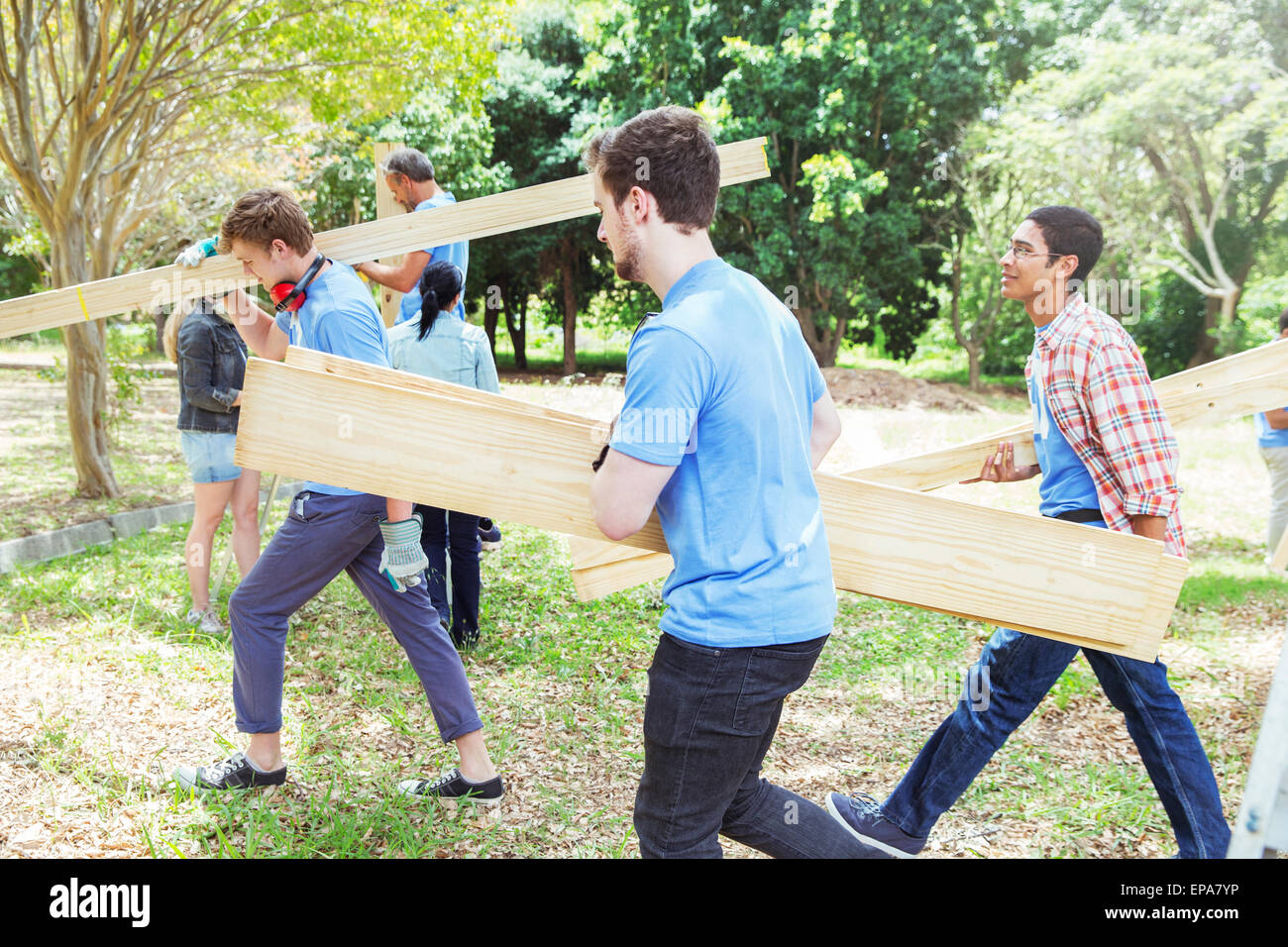 volunteering carrying wood plank Stock Photo - Alamy