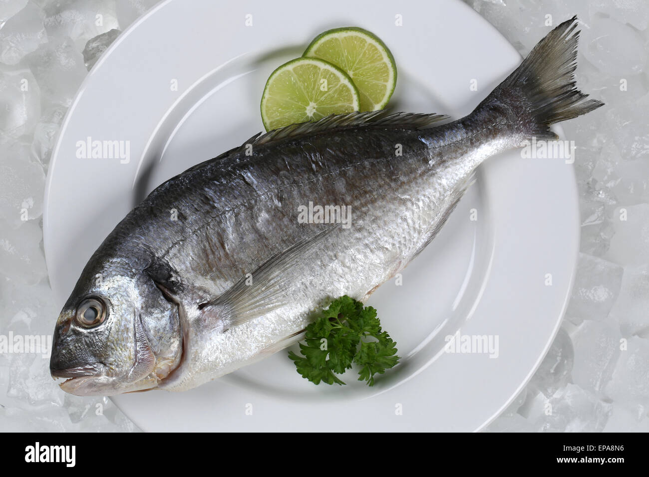 Frischer Fisch Dorade auf einem Teller Stock Photo - Alamy