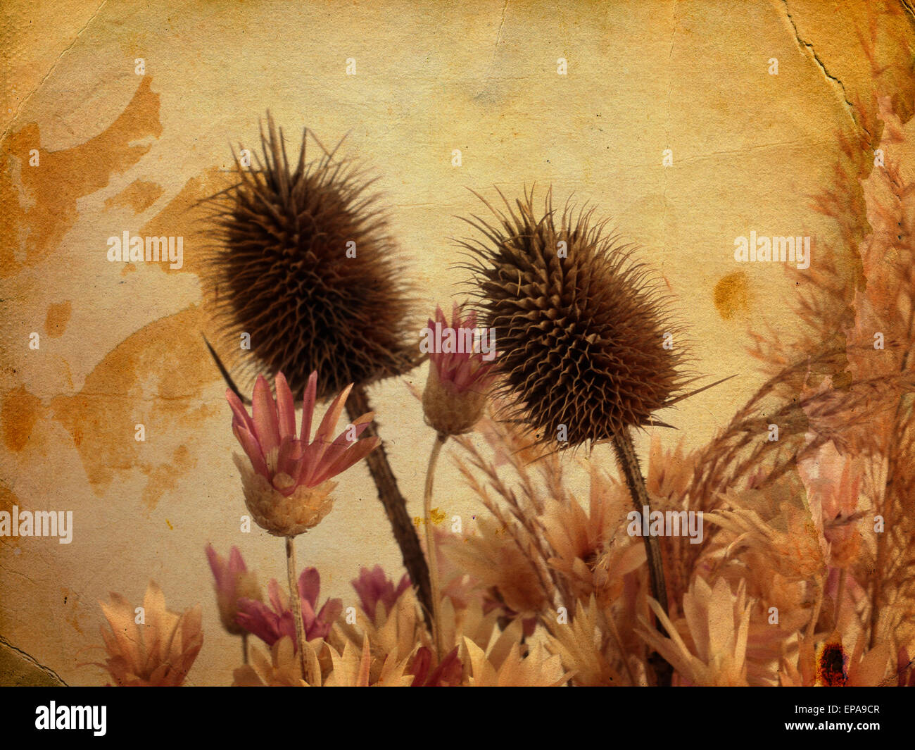 Grunge ancient used paper in scrapbooking style with flowers Stock ...