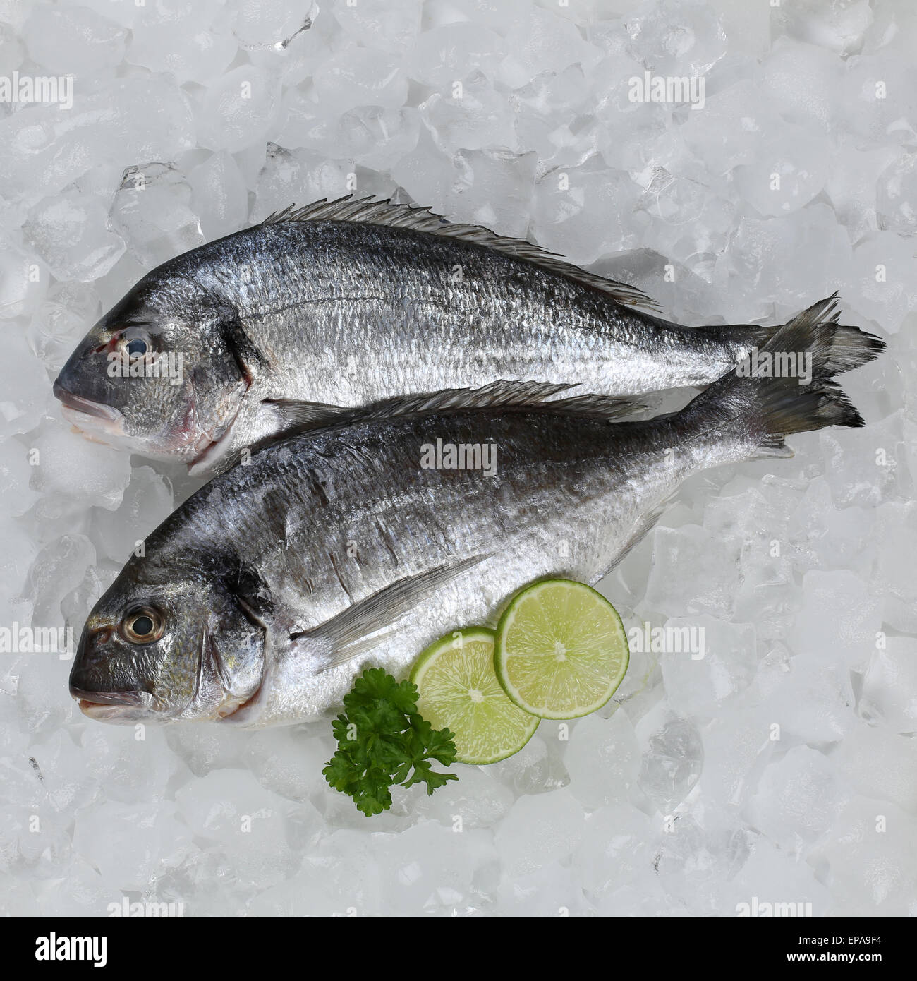 Frischer Fisch auf Eis Stock Photo - Alamy