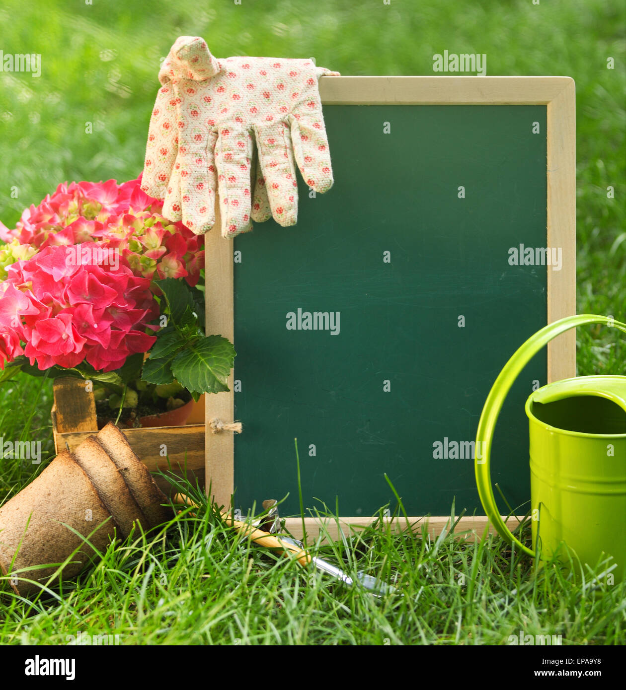 Beautiful spring flowers and blackboard blank on the green grass Stock ...