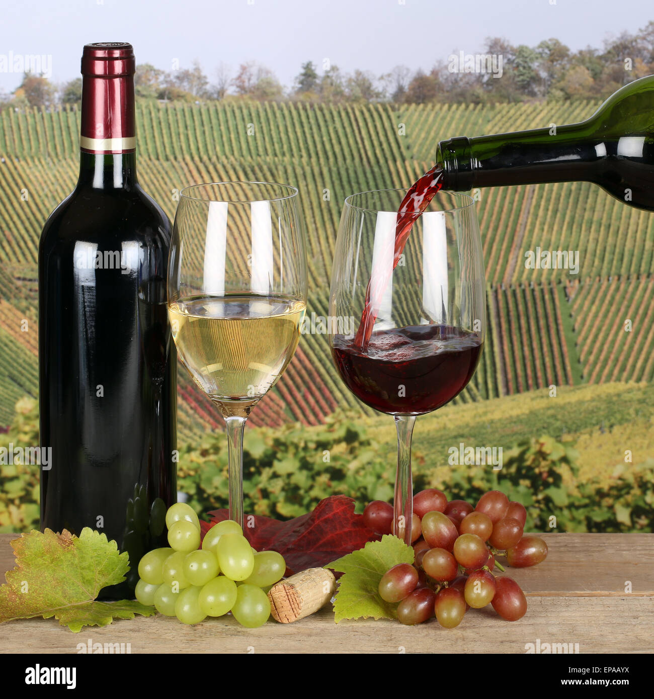 Wein wird aus einer Weinflasche in ein Glas eingegossen Stock Photo - Alamy