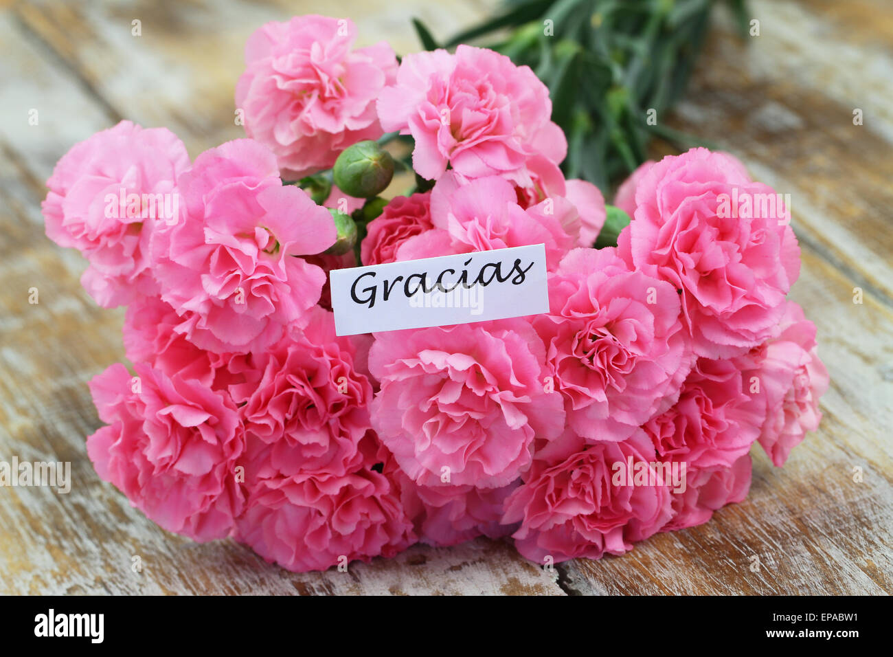 Gracias (thank you in Spanish) with pink carnations Stock Photo - Alamy