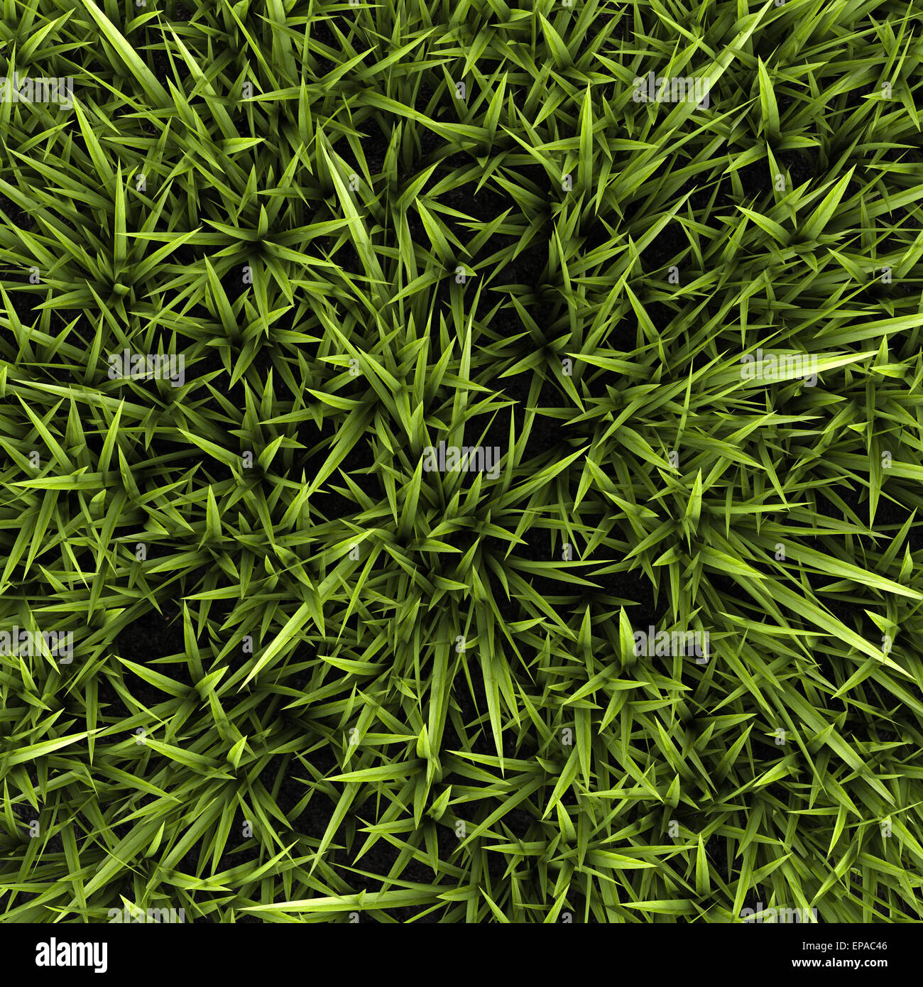 high resolution green grass background Stock Photo - Alamy
