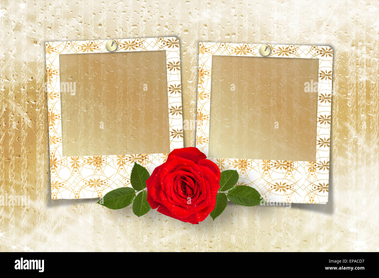 Bouquet of beautiful red roses with the invitation or congratulation on ...