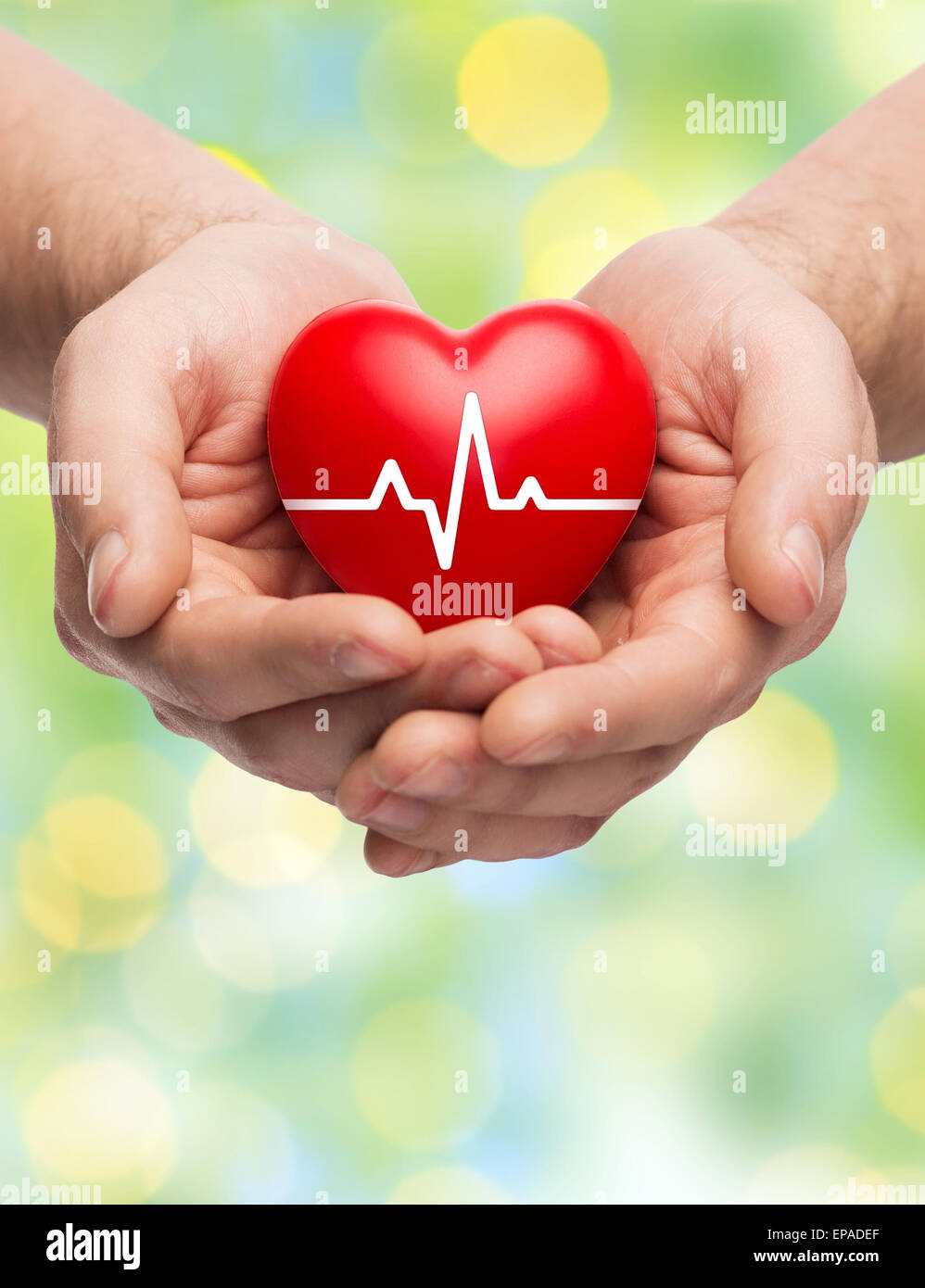 close up of hands holding heart with cardiogram Stock Photo - Alamy