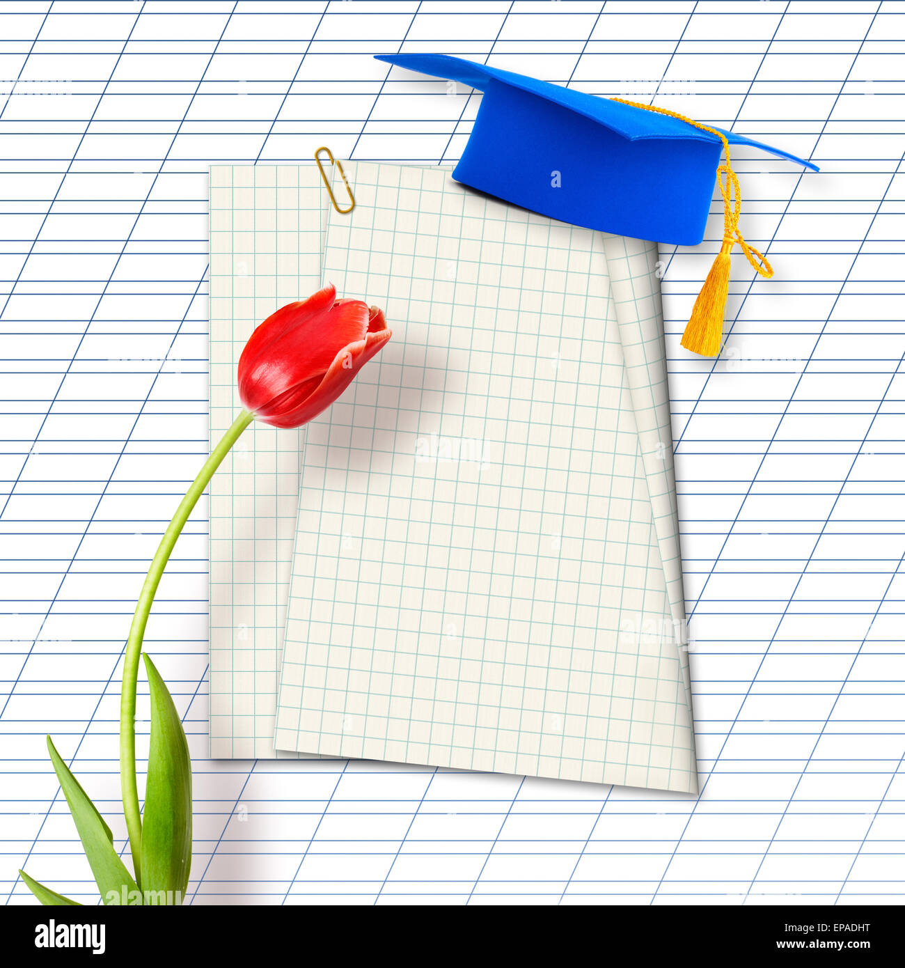 Mortar board or graduation cap with tulip on the background notebook ...