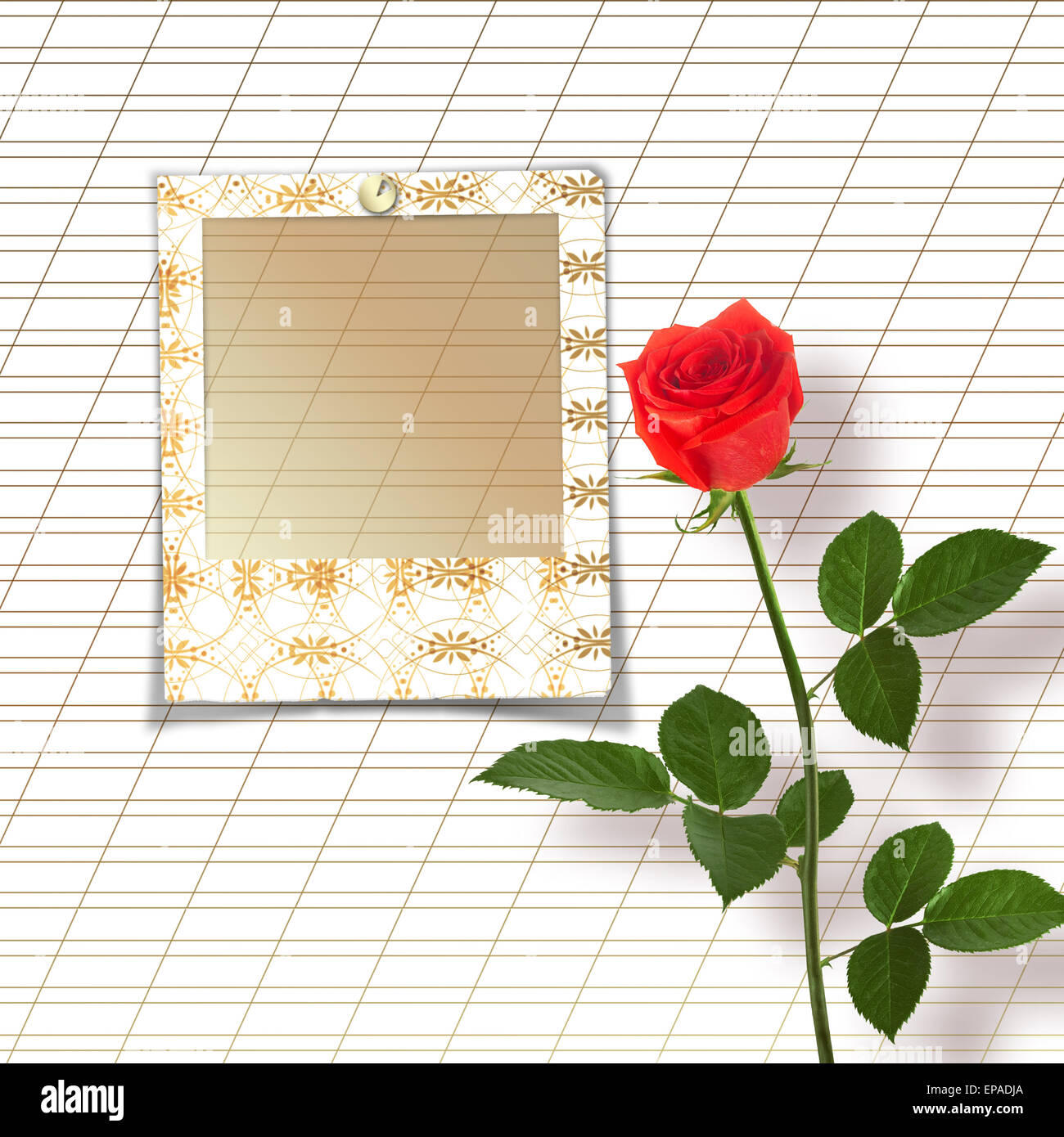 Bouquet of beautiful red roses with the invitation or congratulation on ...