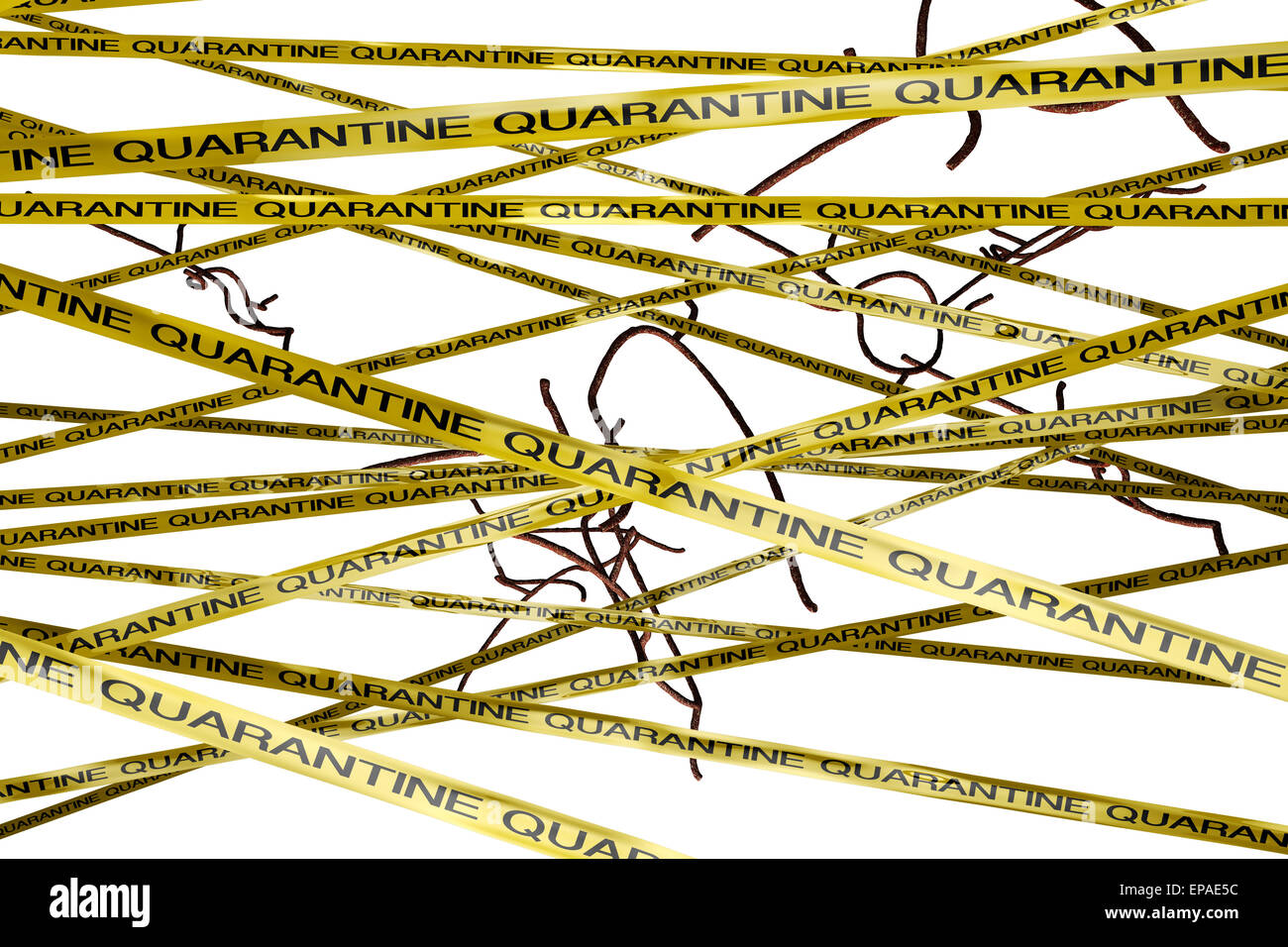 Microscopic Ebola Virus On White Background behind Quarantine Signs ...