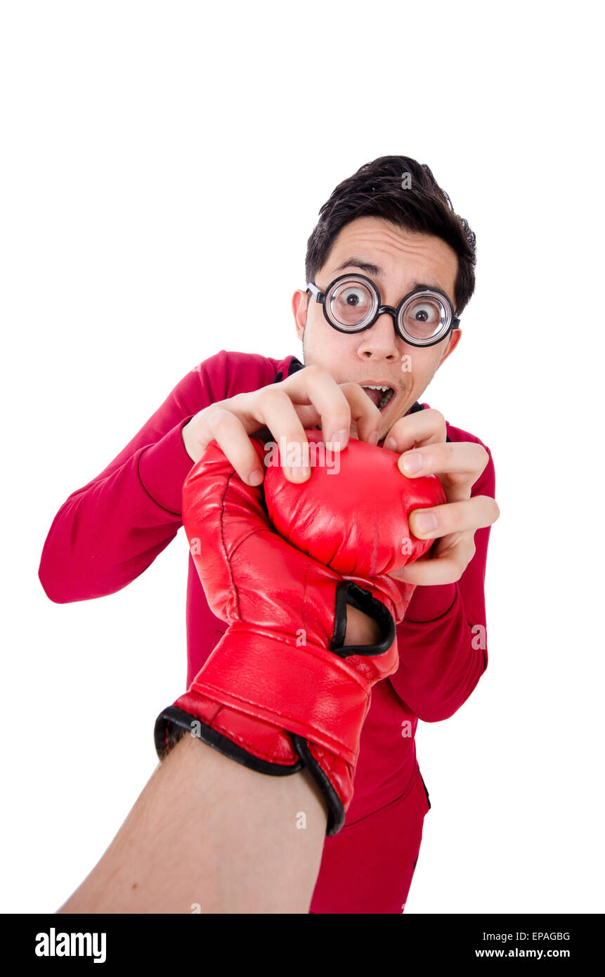 Funny boxer isolated on white Stock Photo - Alamy