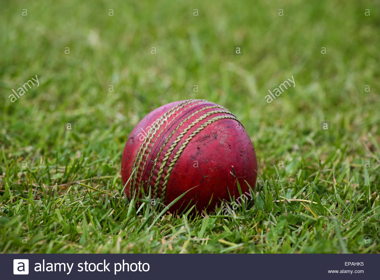 Cricket Sport Close Up Stock Photos & Cricket Sport Close Up Stock ...