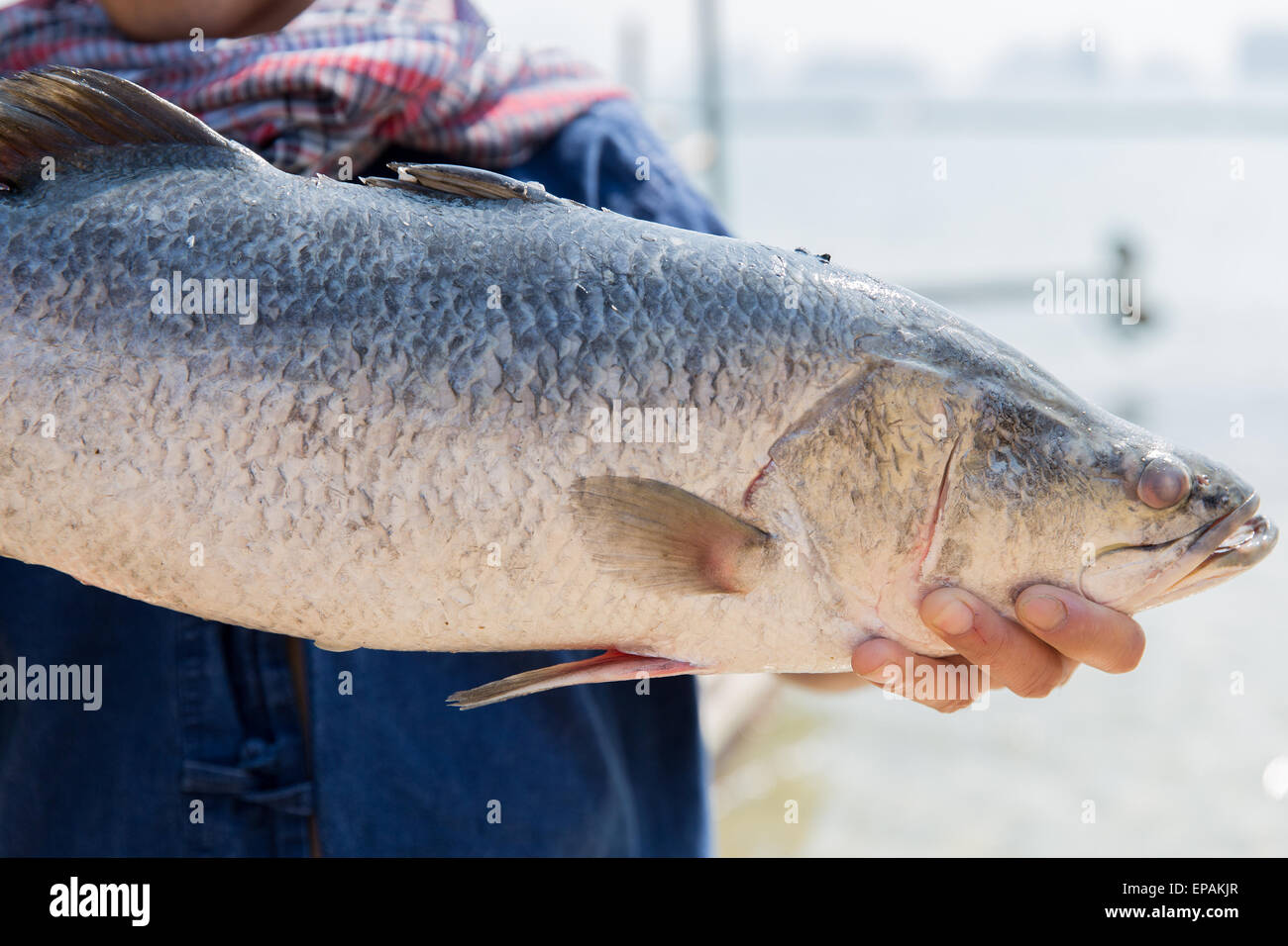 Asian fisherman hi-res stock photography and images - Alamy