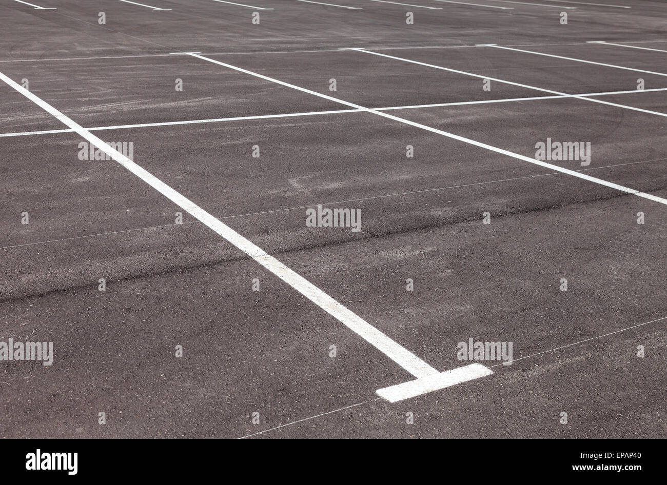 White traffic markings on a gray asphalt parking lot Stock Photo - Alamy