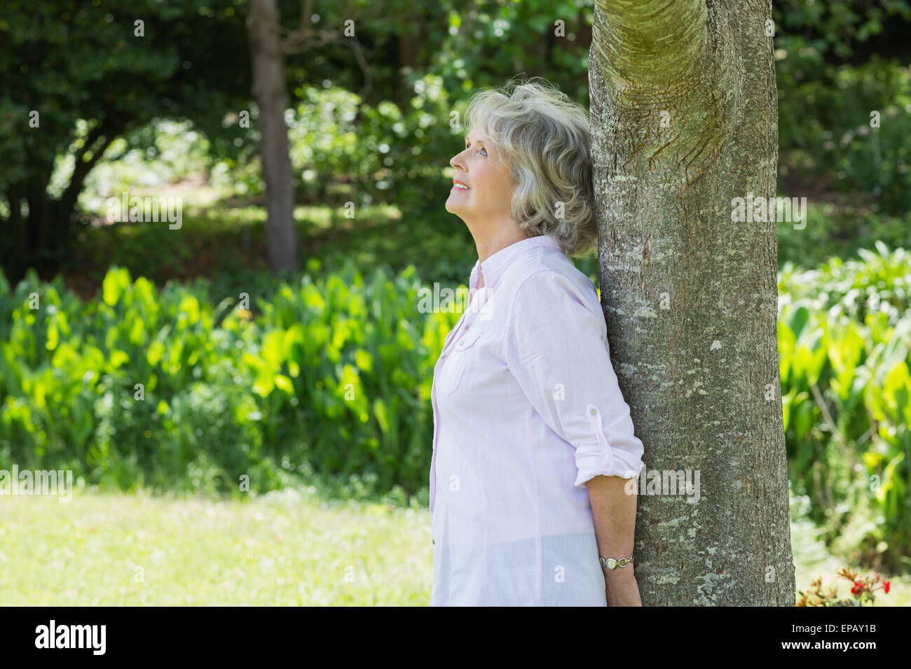 Mature woman leaning against tree trunk in park Stock Photo - Alamy