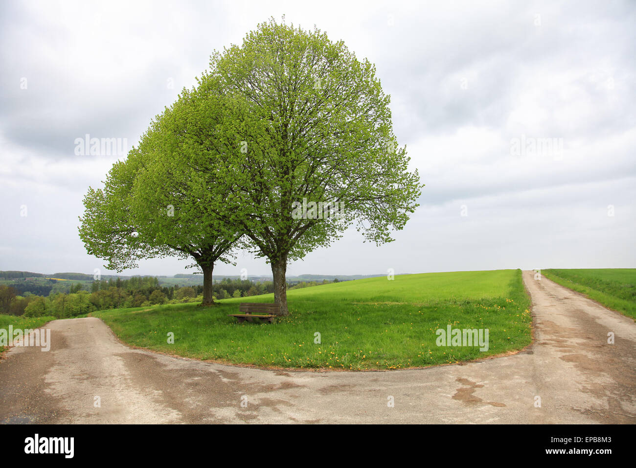 Crossroads with trees and bench Stock Photo - Alamy