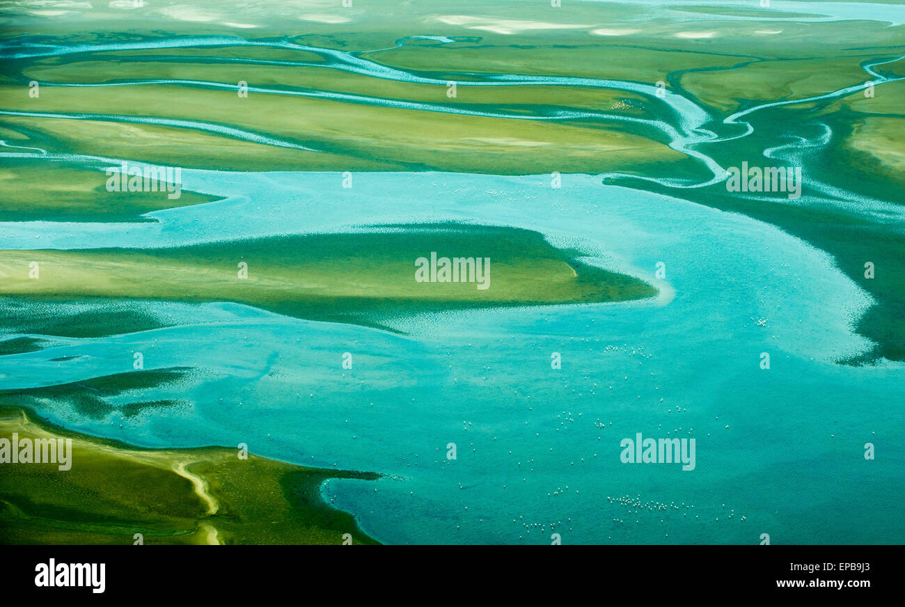 Africa, Namibia. River delta scattered with birds Stock Photo - Alamy