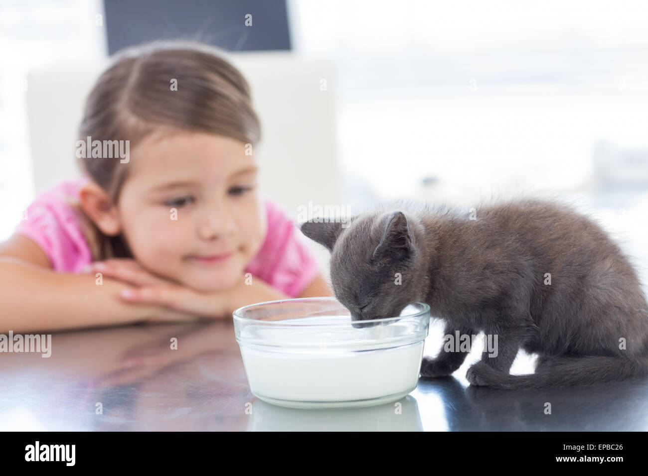 Girl looking at kitten drinking milk from bowl Stock Photo - Alamy