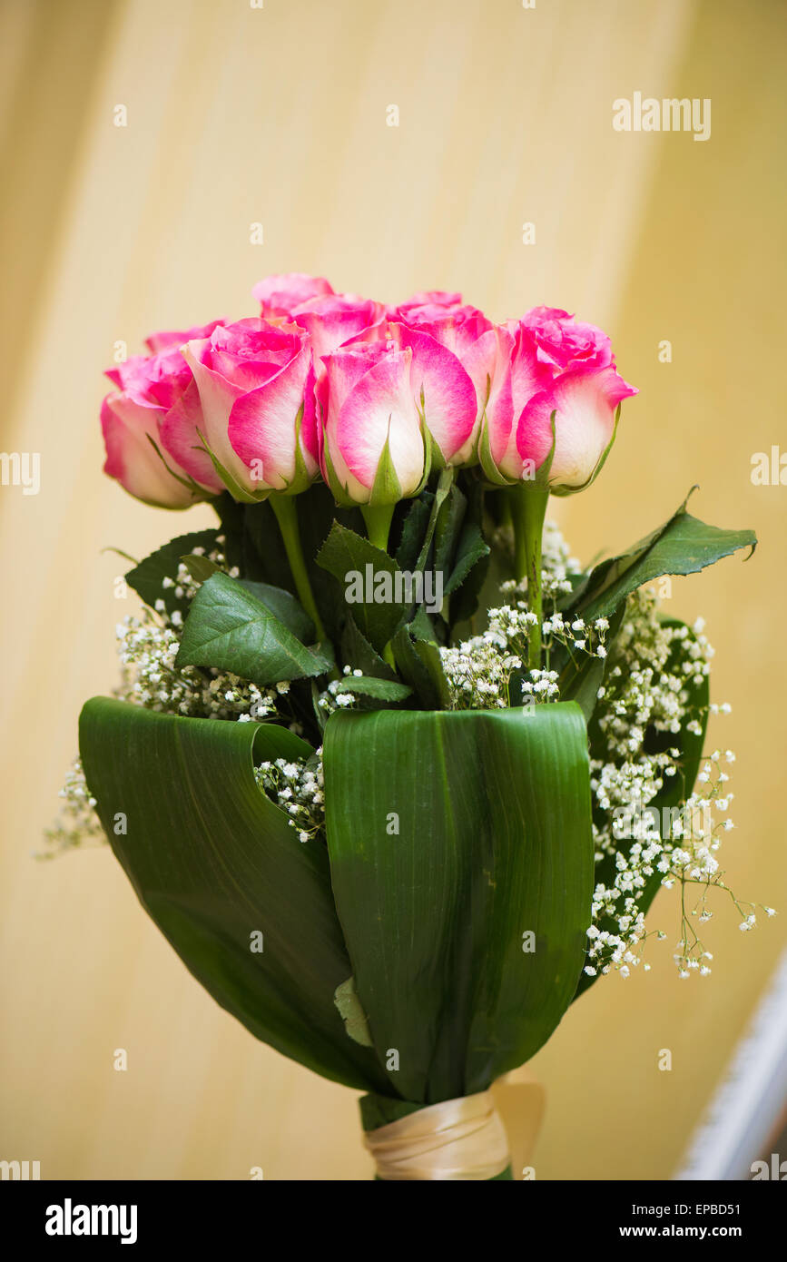 Nice roses in celebration concept Stock Photo - Alamy