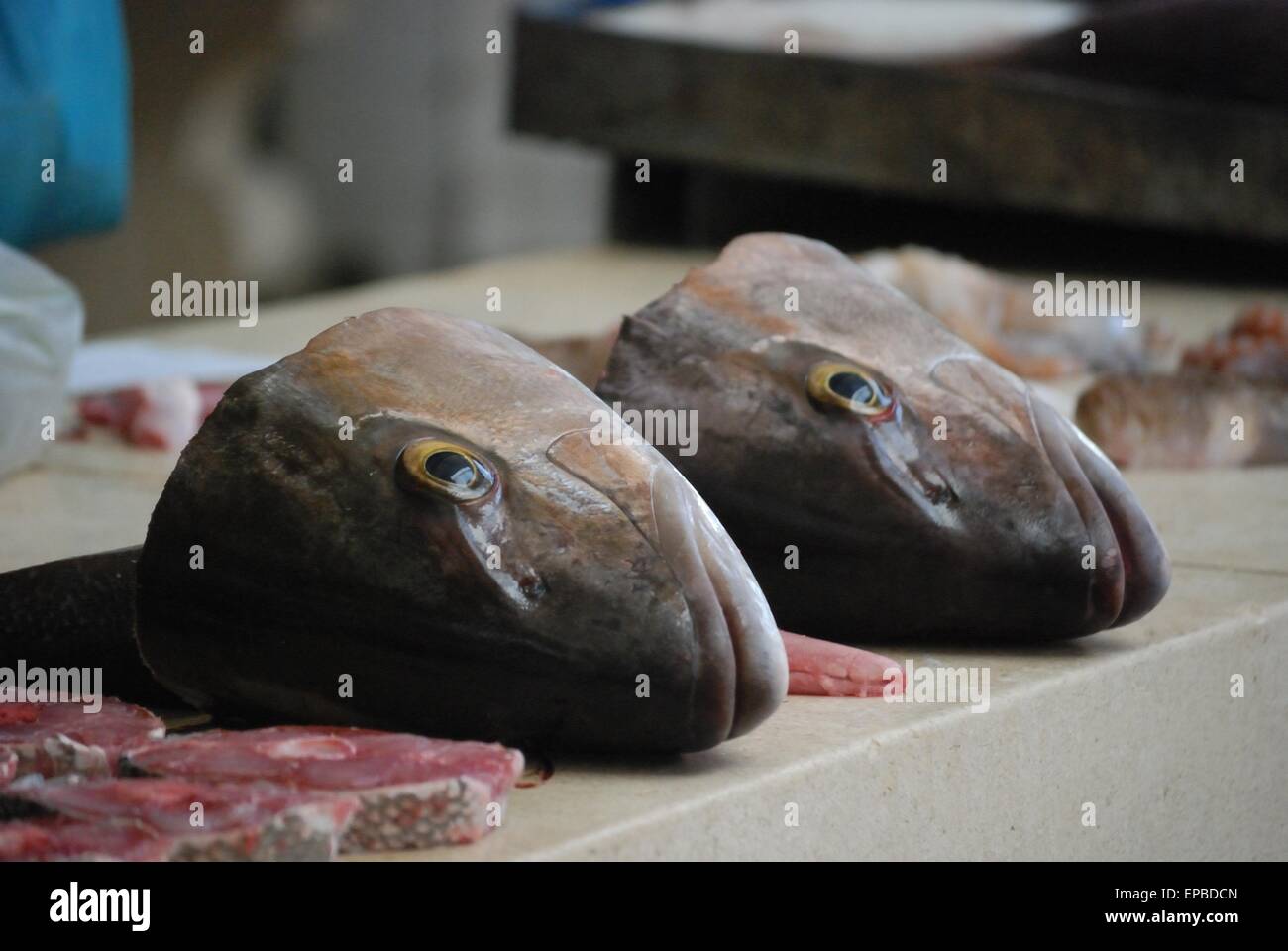 Fish heads hi-res stock photography and images - Alamy