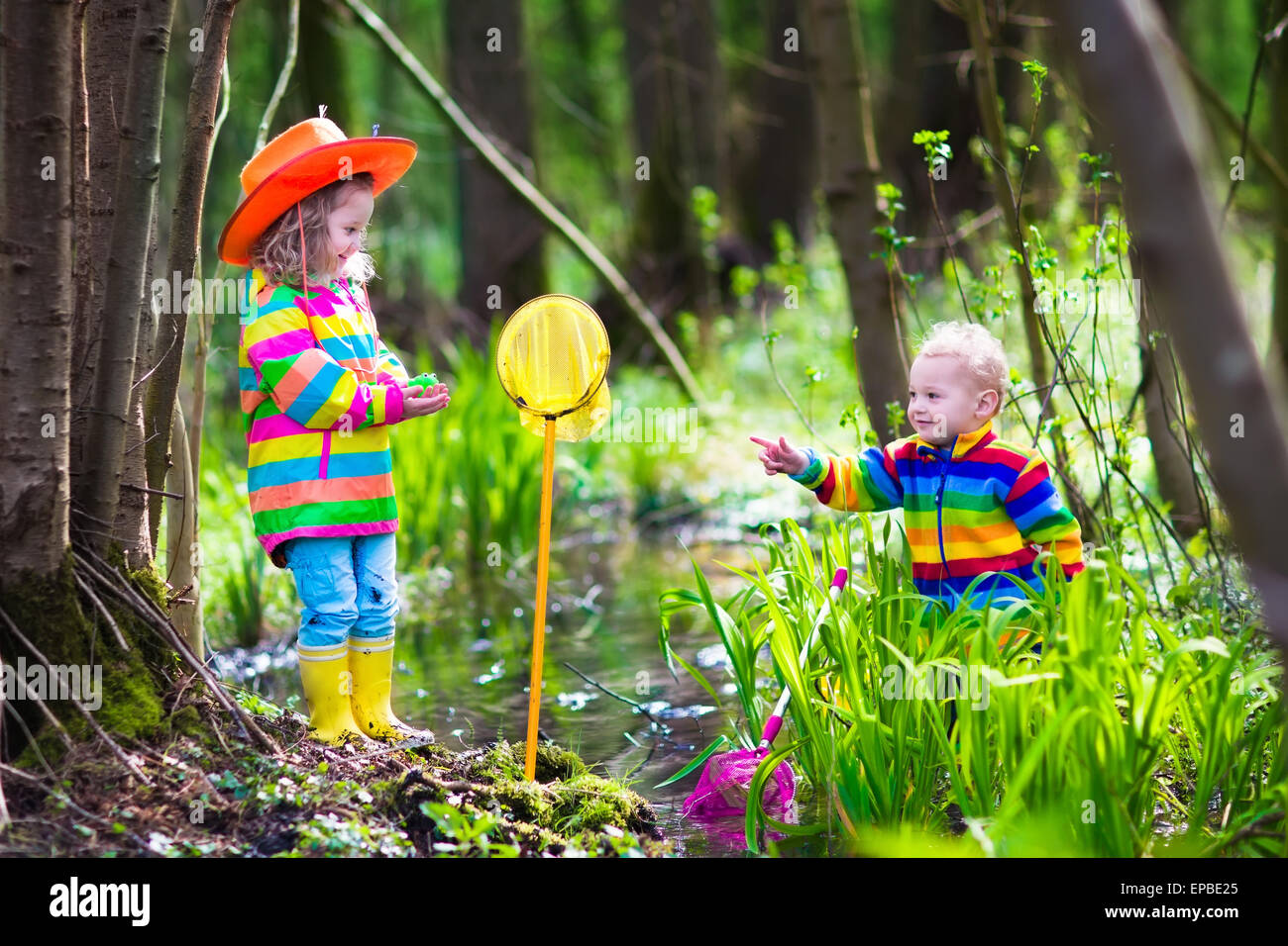 Children playing outdoors. Two preschooler kids catching frog with ...