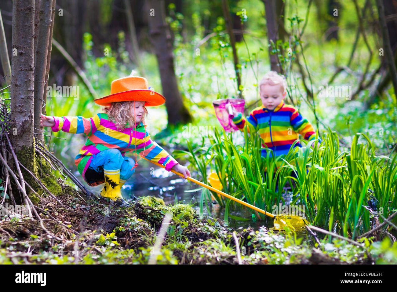Children playing outdoors. Preschool kids catching frog with net. Boy ...