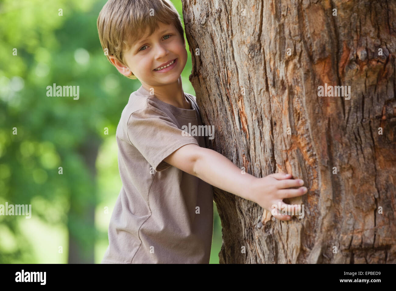 Young boy hugging a tree at park Stock Photo - Alamy