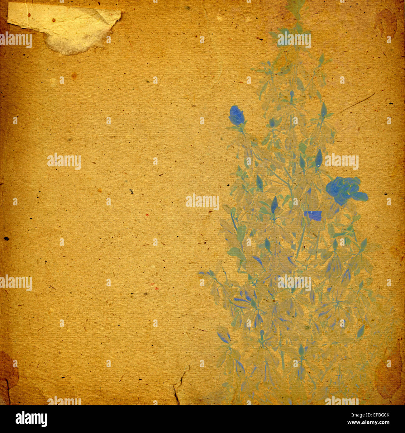 Old grunge cardboard sheet of paper for design Stock Photo - Alamy