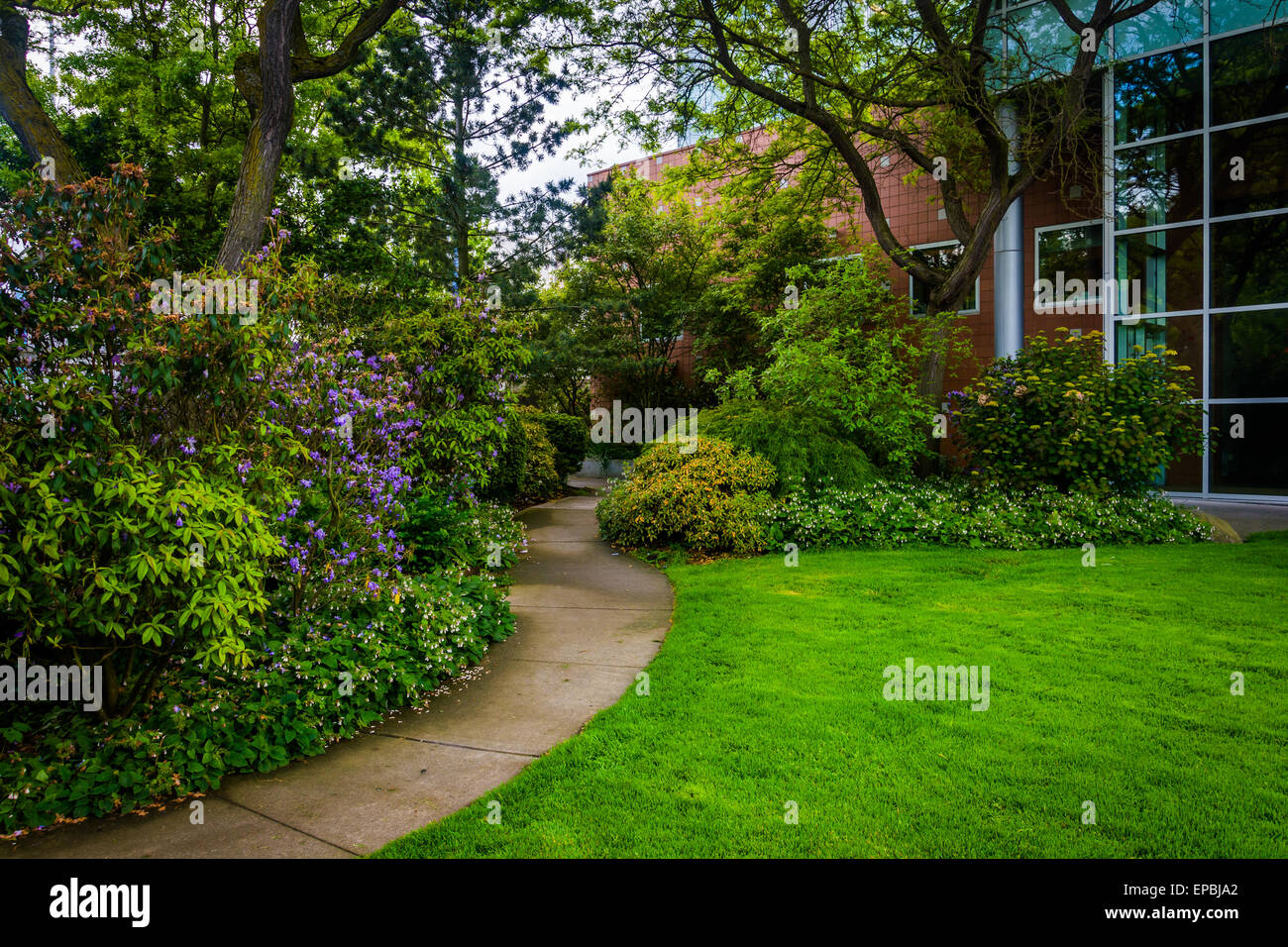 Gardens along a path at the Seattle Center, in Seattle, Washington ...