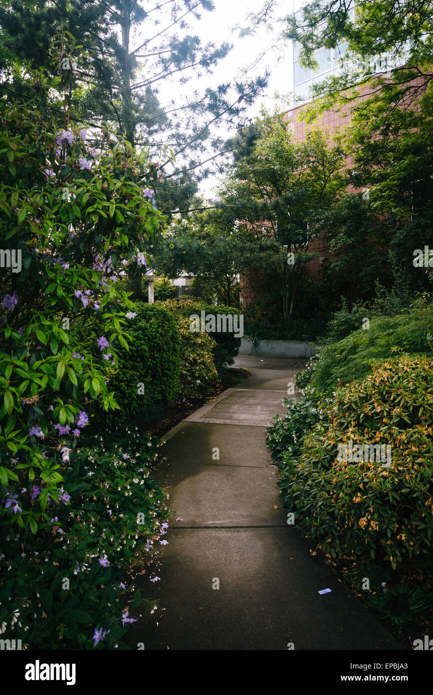 Gardens along a path at the Seattle Center, in Seattle, Washington ...