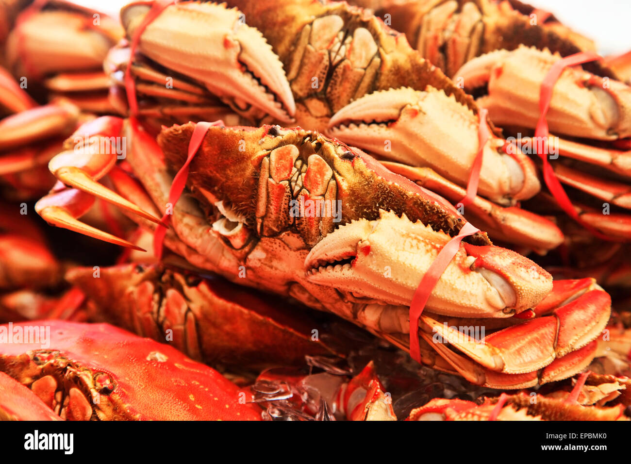 A lot of crab at a market Stock Photo - Alamy