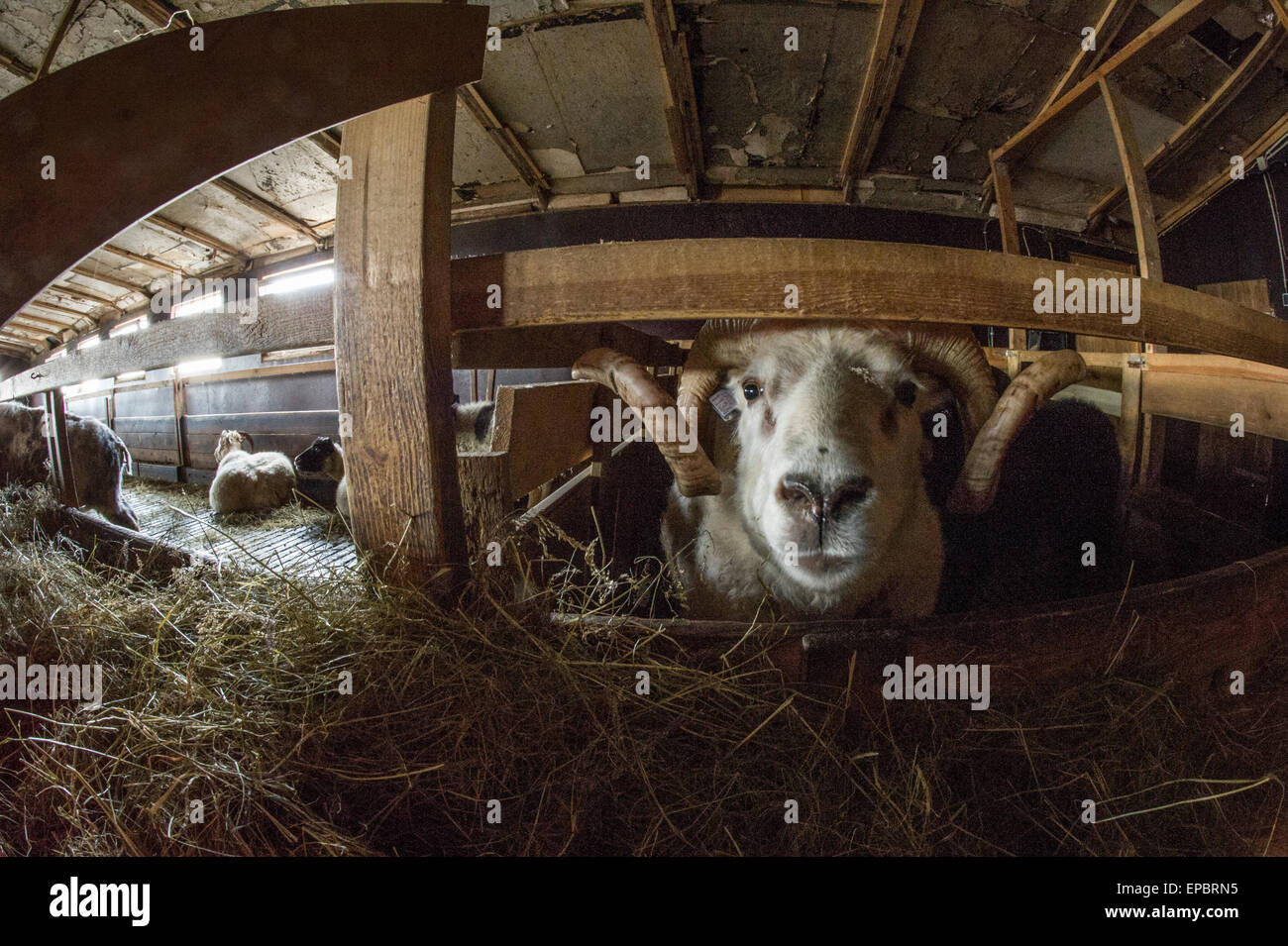 Lens and grin hi-res stock photography and images - Alamy